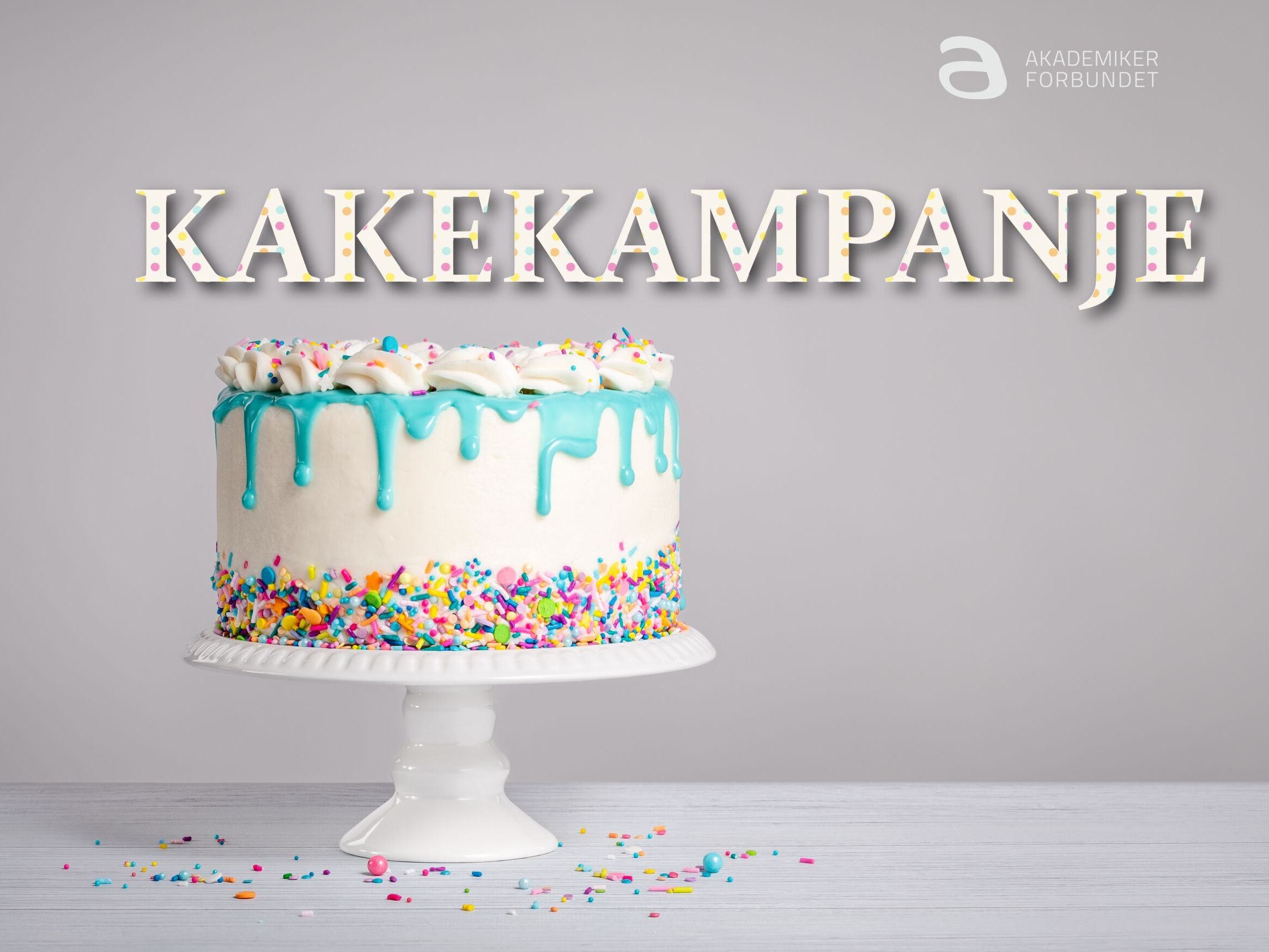 Velg en tillitsvalgt - få en kake | Artikler | Akademikerforbundet