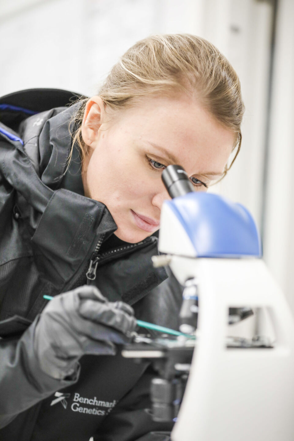 På jobb som dyrepleier: Benchmark Genetics Salten AS | Organisatoriske ...